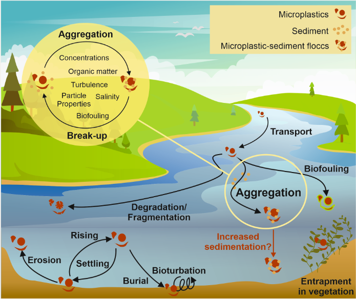 Completing the puzzle – How do microplastics alter aquatic sediment ...