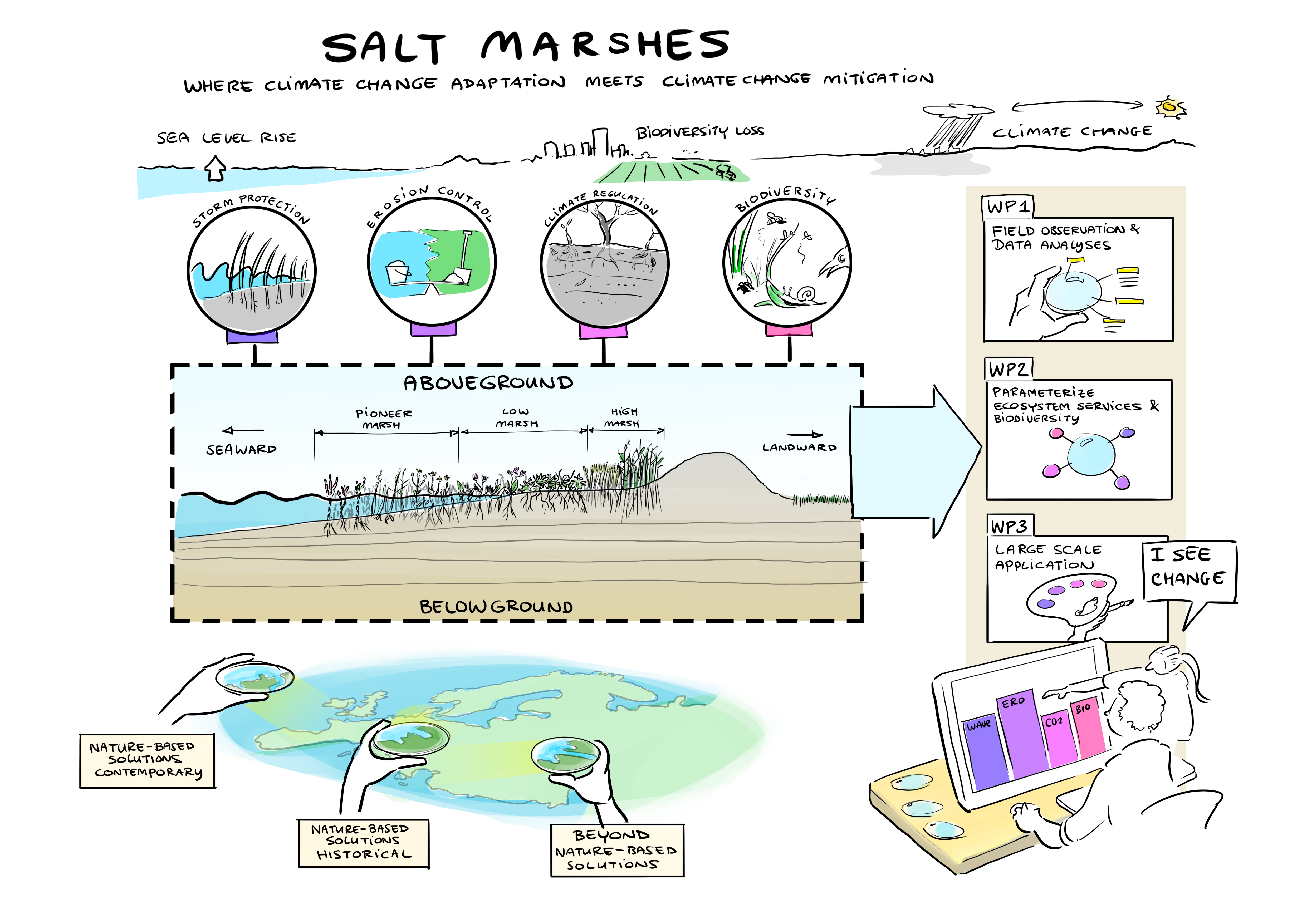 Salt marshes: Where climate change adaptation meets climate change ...